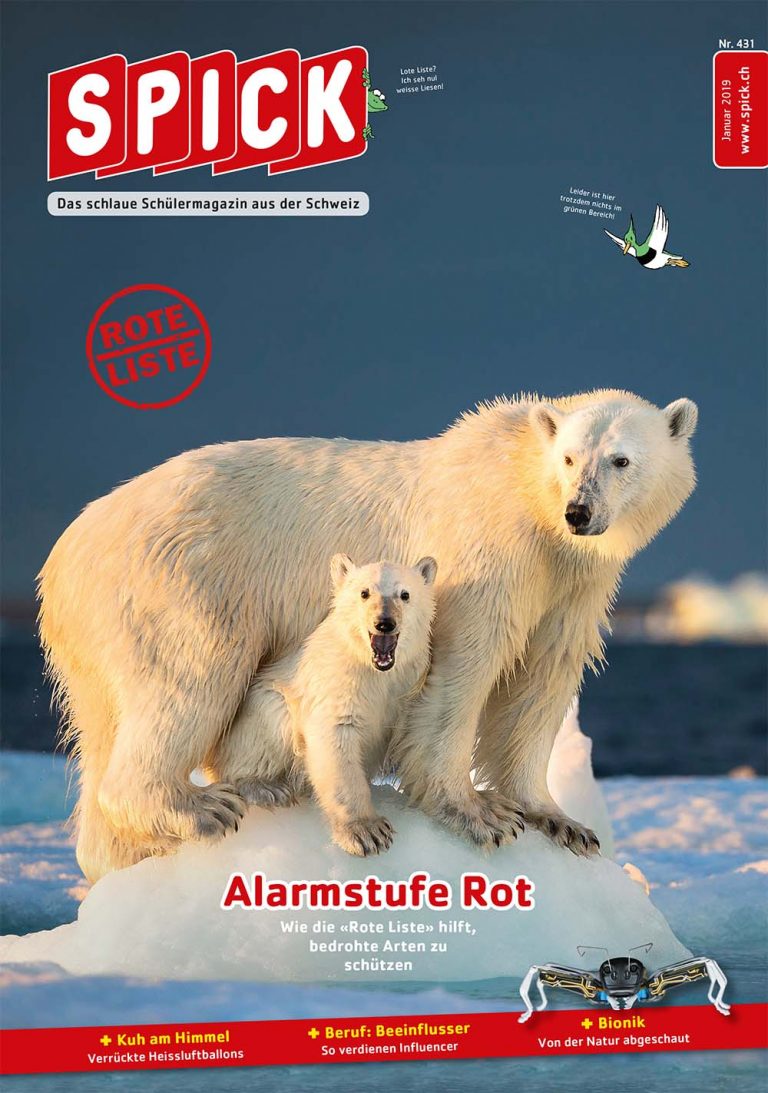 SPICK 431 Januar 2019 - SPICK