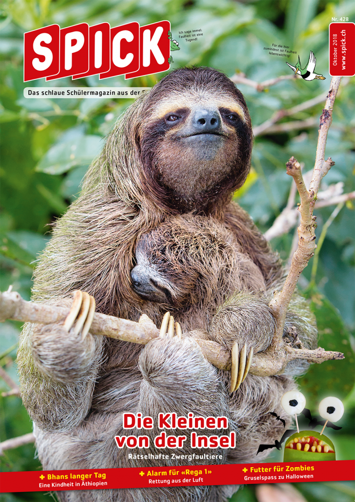 SPICK 428 Oktober 2018 - SPICK