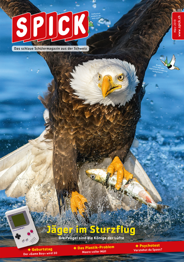 SPICK 433 März 2019 - SPICK