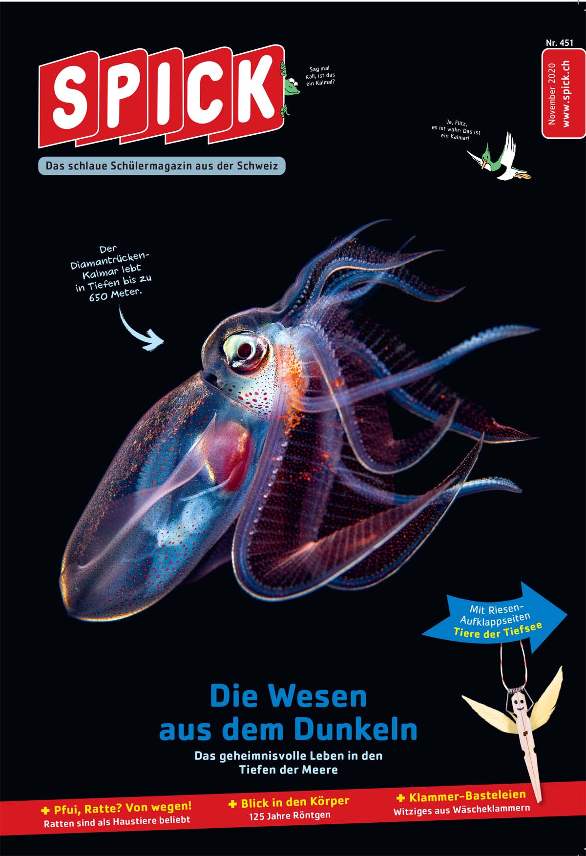 SPICK 451 November 2020 - SPICK